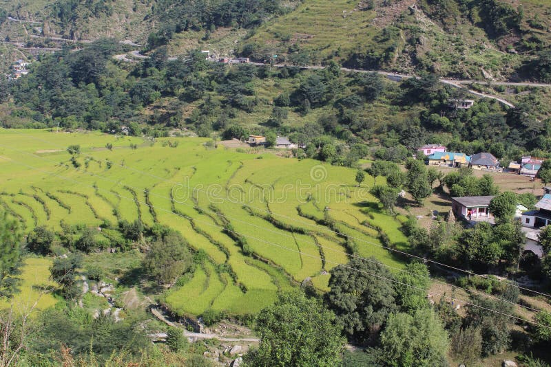 Step farming stock photo. Image of love, farming, step - 95632162