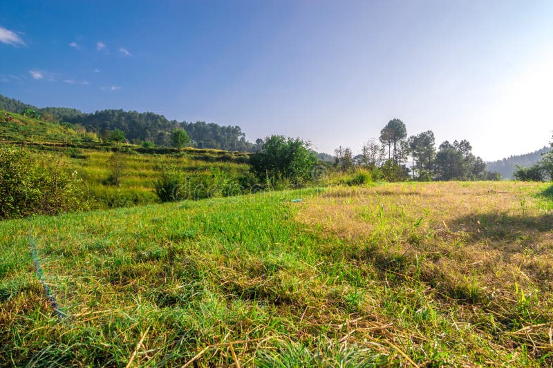 Step Farming in Mountains stock photo. Image of hills - 129567140