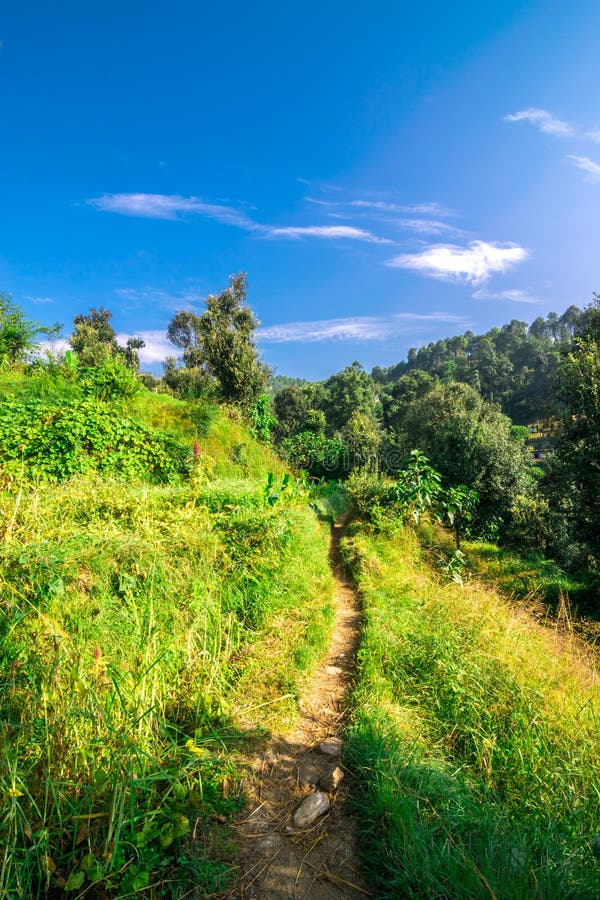 533 Step Farming Mountains Stock Photos - Free & Royalty-Free Stock ...