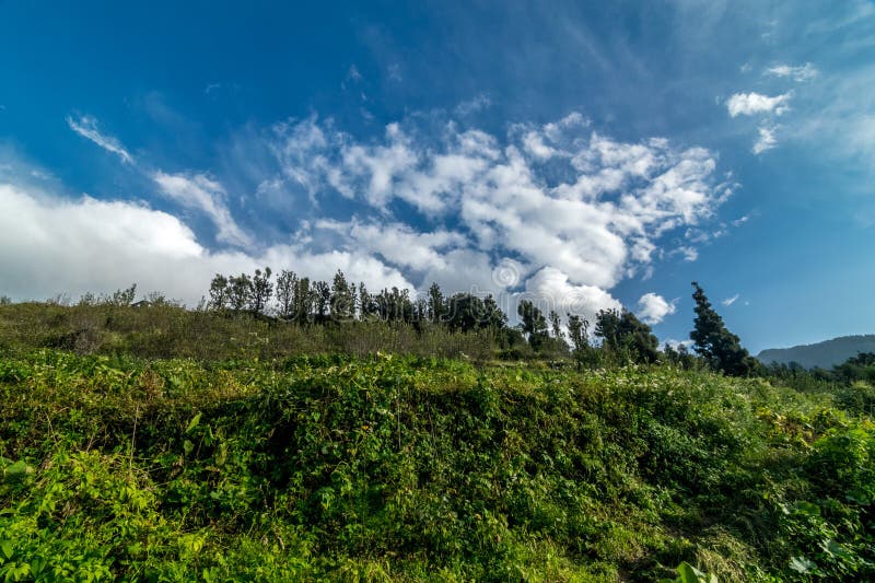 Step Farming in Mountains stock photo. Image of landscapes - 129567434