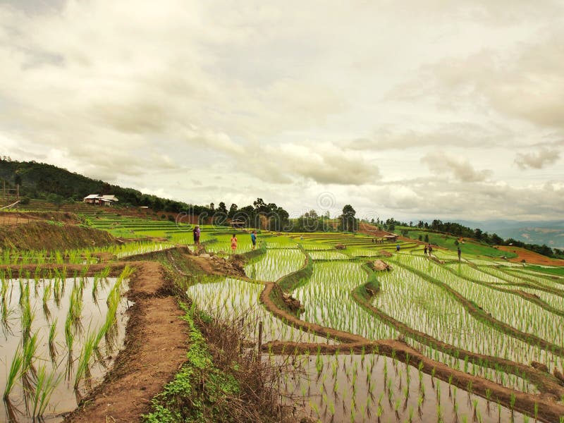 Step Field stock image. Image of mountain, field, cloud - 89355079