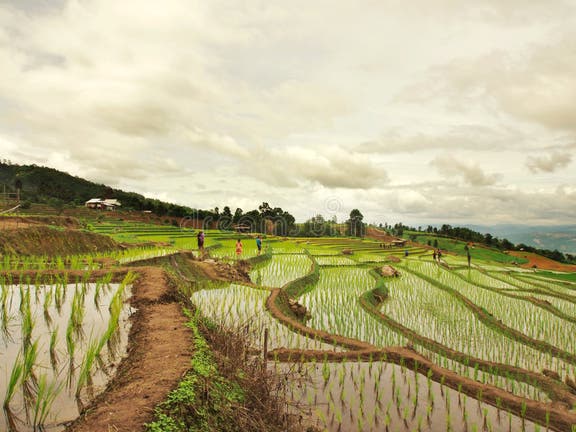 Step Field stock image. Image of mountain, field, cloud - 89355079