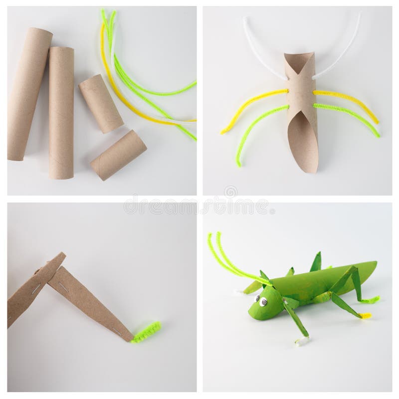Step-by-step Guide for Creating a Grasshopper Craft Using a Cardboard ...