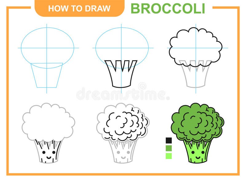 Step by Step Guide How To Draw Broccoli Stock Vector - Illustration of ...
