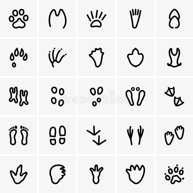 Step icons stock vector. Illustration of claw, wildlife - 55562921