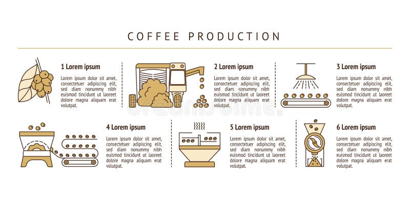Step-by-step Instructions for Making Coffee Starting with the Harvest ...