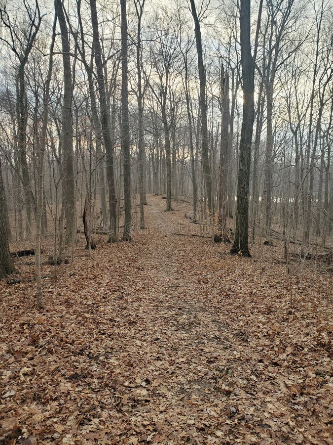 Step in life stock photo. Image of life, beauty, glorious - 169419248