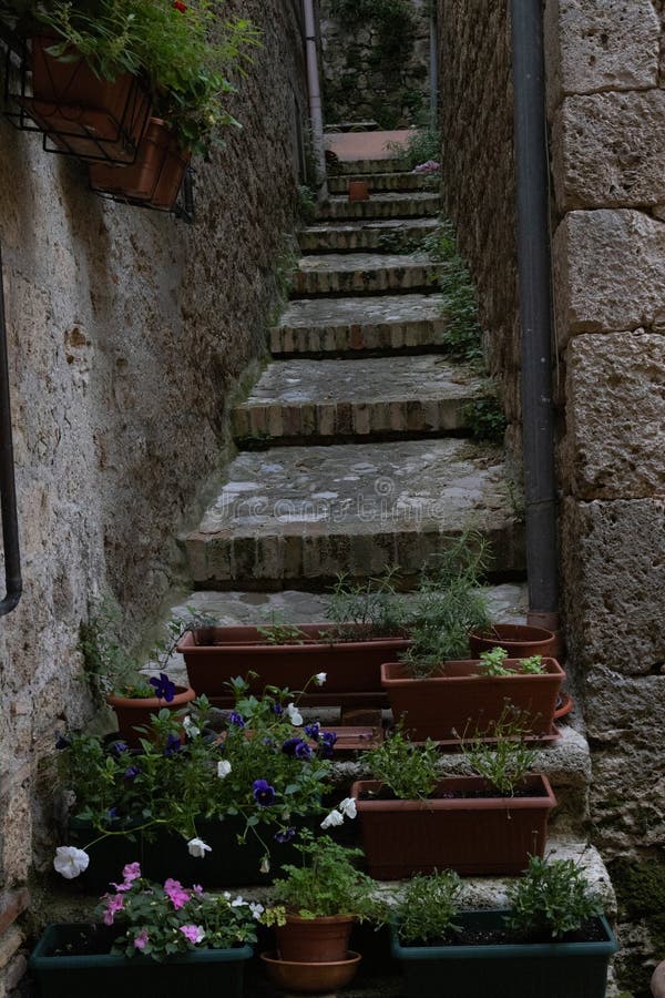 Step stock photo. Image of decaying, green, uphill, moving - 282493856