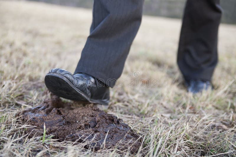 Step in a Messy Pile of Feces Stock Photo - Image of away, symbol: 24985038
