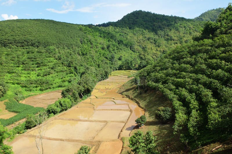 Step Mountain and field stock photo. Image of field, step - 58921026