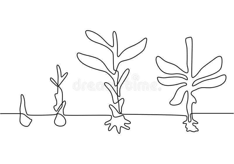 Plant Growing Continuous Line Drawing One Hand Drawn Minimalist Design ...
