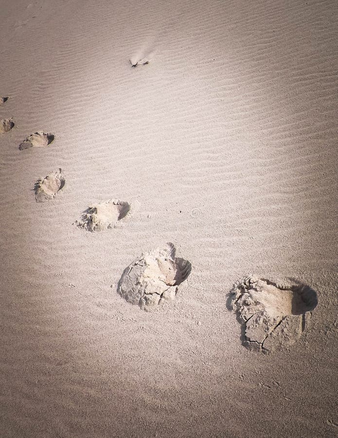 Step prints on sand stock photo. Image of soil, copyspace - 385358492