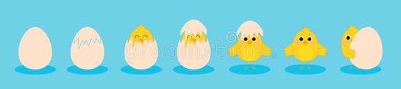 Step by Step Process Baby Chicken Hatching from the Egg. Funny and ...