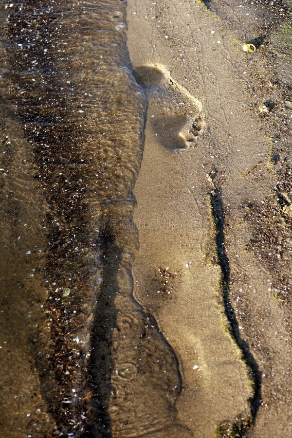 Step on sand stock image. Image of footprints, step, coastline - 6396467