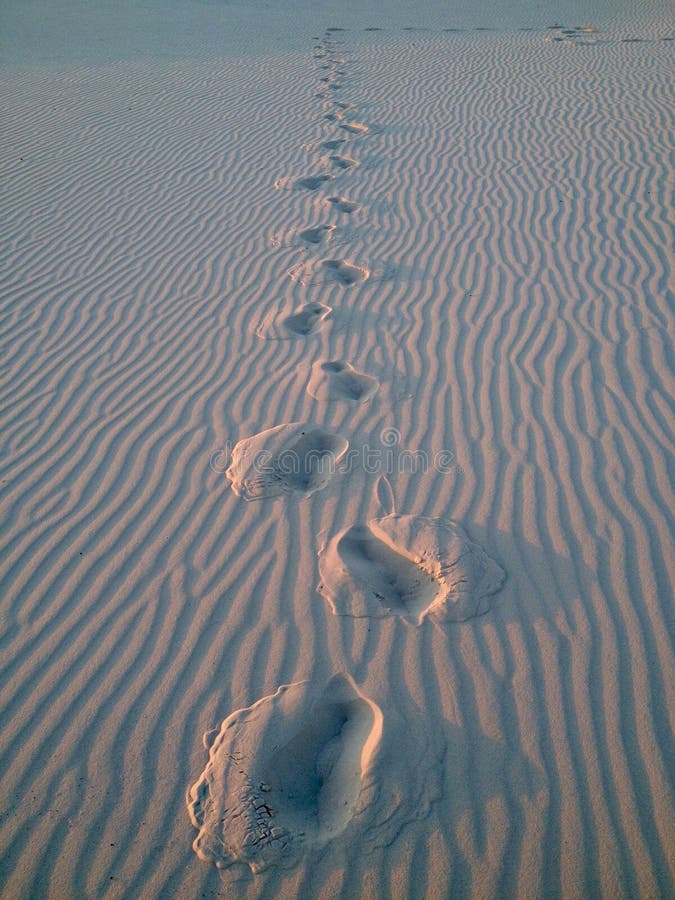 Step on the sand stock image. Image of beach, desert - 74752713