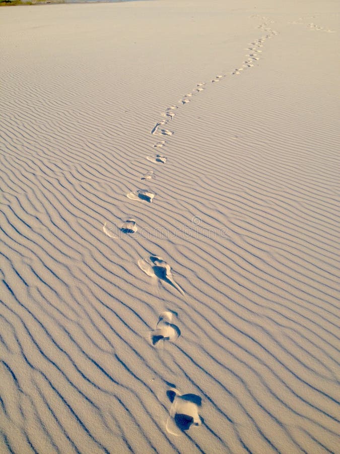 Step on the sand stock image. Image of storm, water, summer - 74776595