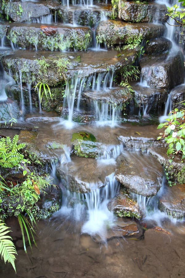 Step of small water fall stock photo. Image of forest - 22842504