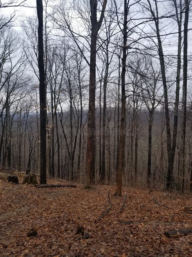 Step into spring stock photo. Image of corner, step - 143436738