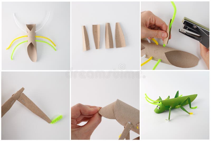 Step-by-step Guide for Creating a Grasshopper Craft Using a Cardboard ... Step-by-step Guide for Creating a Grasshopper Craft Using a Cardboard ...