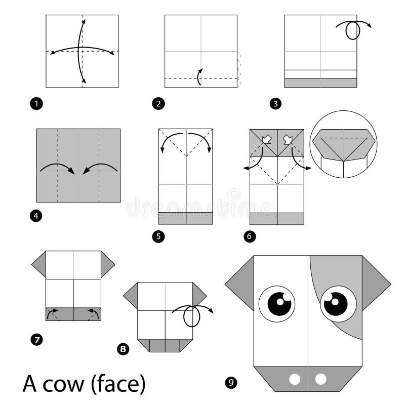 Step by Step Instructions How To Make Origami a Cow. Stock Vector ...