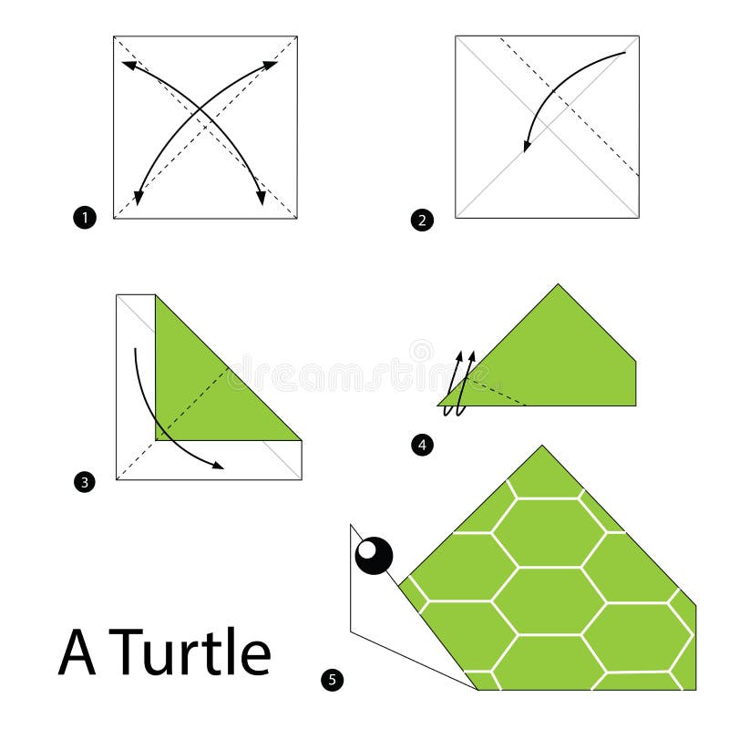 Origami Turtle Origami Turtle Origami Diagrams Origami Origami Turtle