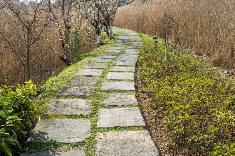 Step Stone Staircase in the Castle Stock Photo - Image of buildings ...
