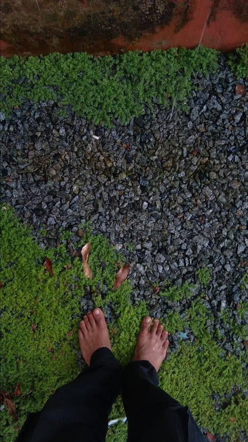 Step Strong, Slowly Move Forward Stock Photo - Image of slowly, forward ...