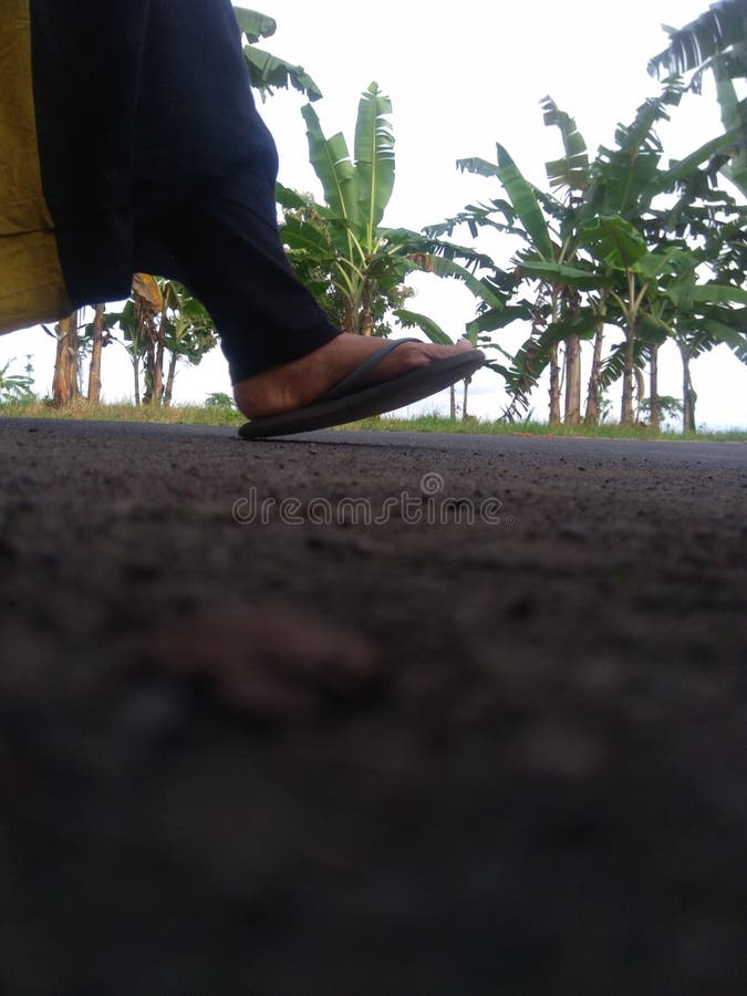 Step by step stock photo. Image of sunlight, green, person - 265408936