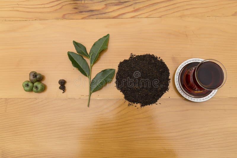 Step By Step Tea Making Stage Stock Image - Image of mint, herbal ...