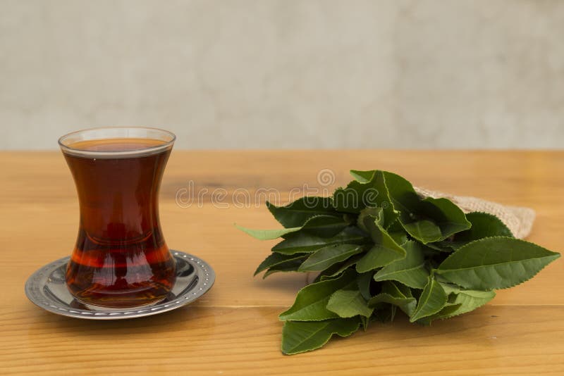 Step by Step Tea Making Stage Stock Image - Image of china, herbal ...