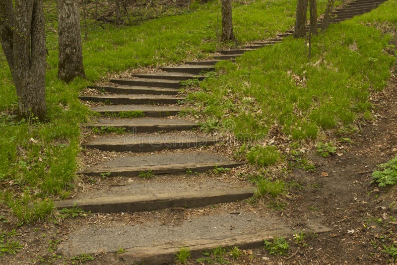 Step Trail In Woods stock photo. Image of spring, hiking - 24330548