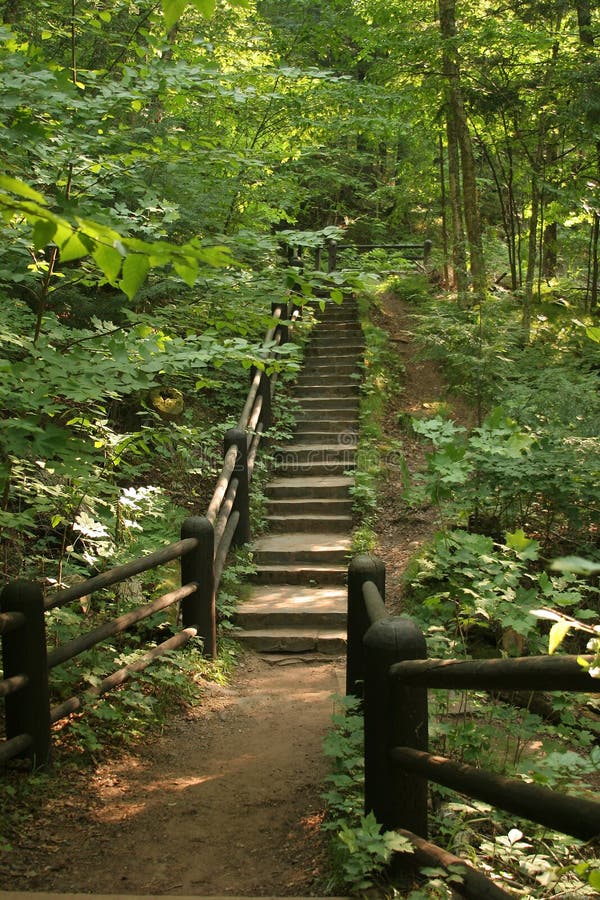 Step Trail in Woods stock photo. Image of recreation, steps - 8953174