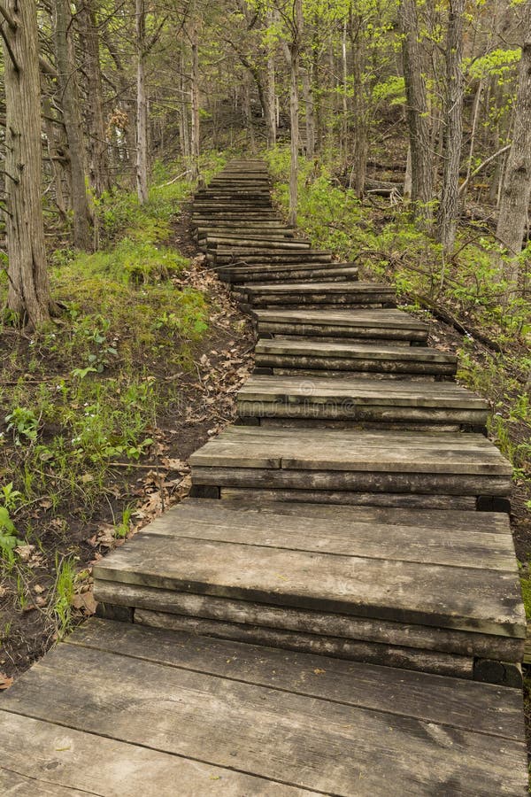 Step Trail in Woods during Spring Stock Photo - Image of recreation ...