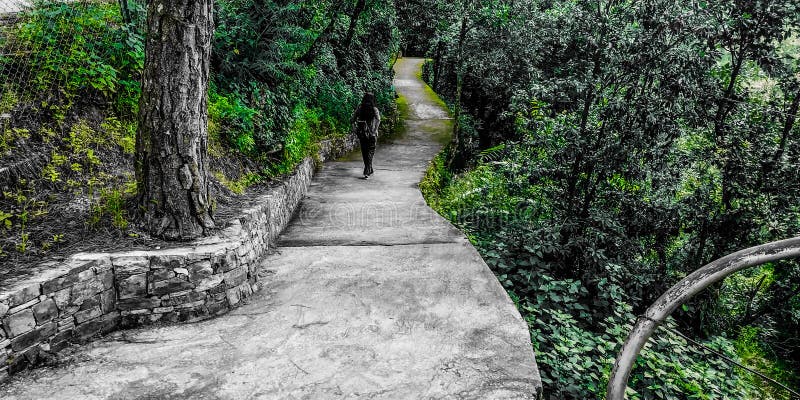 A pathway stock image. Image of step, greenery, pathway - 137527743
