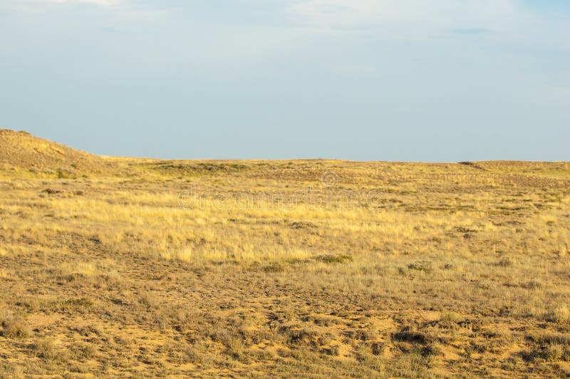 Step W Lecie Środkowy Azja Kazachstan Zdjęcie Stock - Obraz złożonej z ...