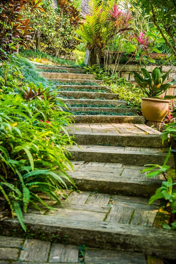 Step walkway in the park stock photo. Image of nature - 173289258