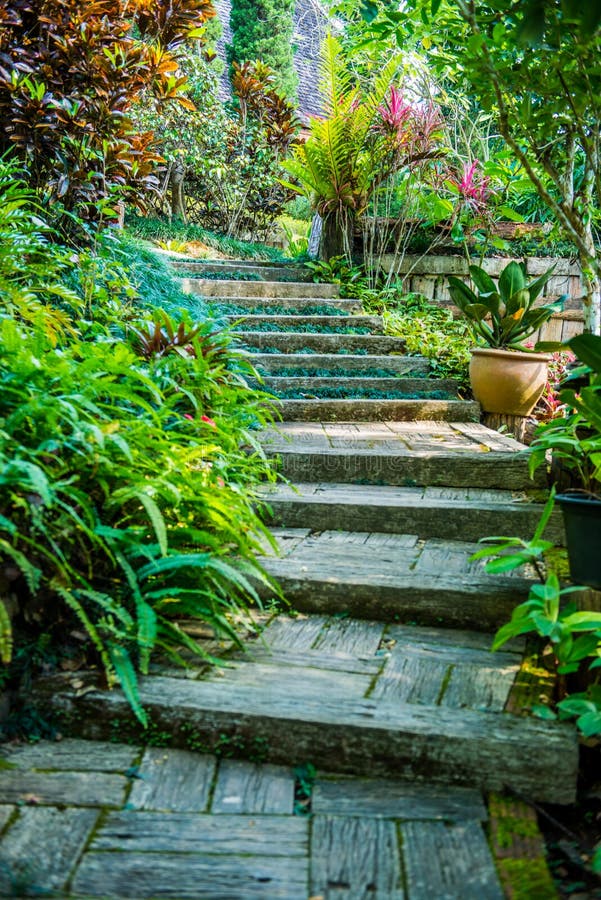 Step walkway in the park stock image. Image of garden - 174008671