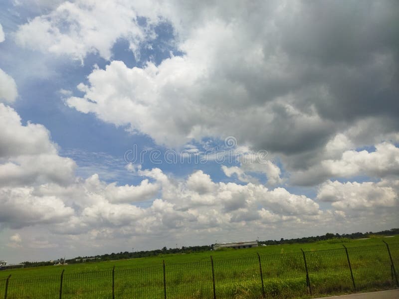 In Stepa Tree Sky and Cloudy Stock Photo - Image of steppe, cloud ...