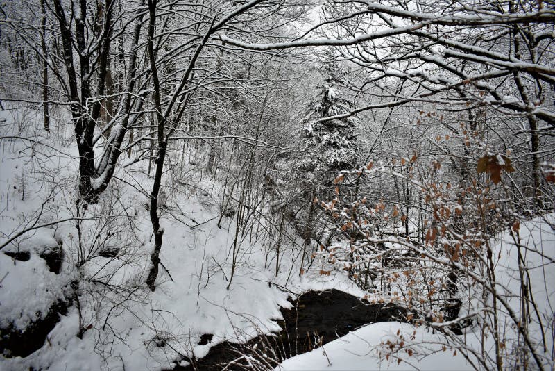 Stephens Falls Governor Dodge State Park Stock Photo - Image of ...