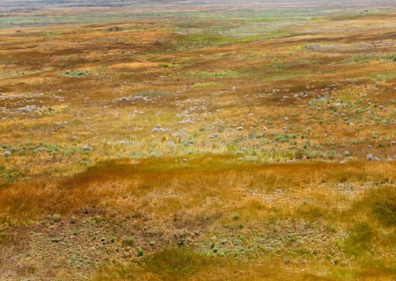 Steppa immagine stock. Immagine di bruciacchiato, brughiera - 15764269