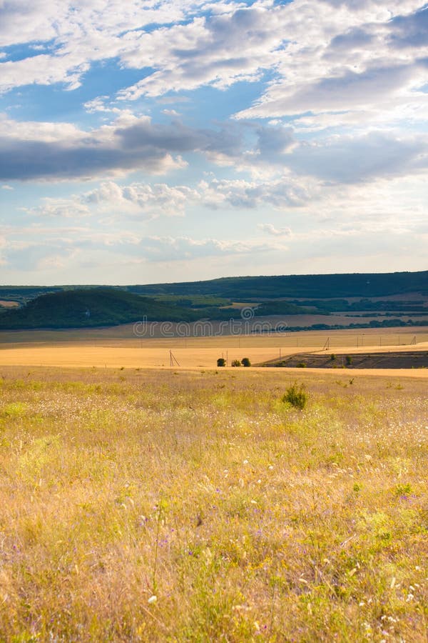 Steppa fotografia stock. Immagine di campo, molla, terra - 38230576