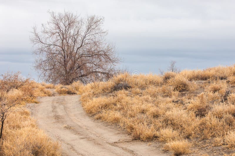 Steppa fotografia stock. Immagine di asciutto, molla - 44097686