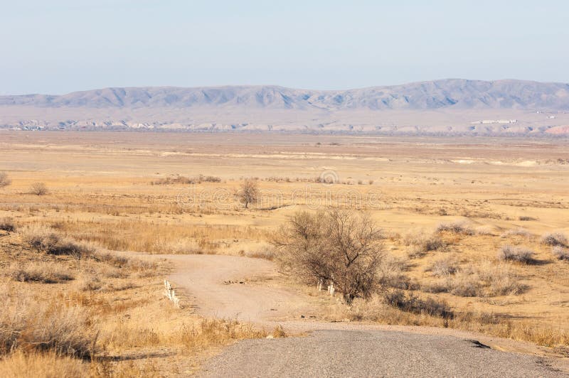 Steppa fotografia stock. Immagine di asciutto, molla - 44097686