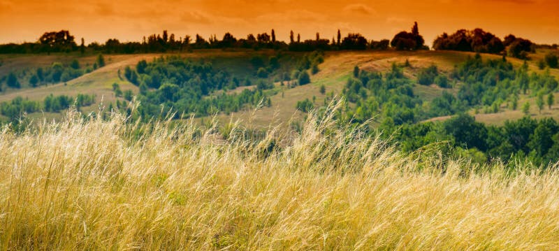 Steppa e foresta immagine stock. Immagine di nube, aria - 50278973