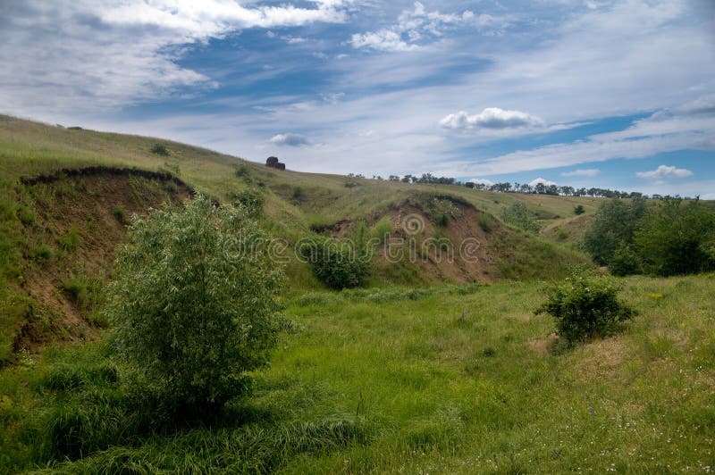 Steppe stock photo. Image of grass, leaves, green, bright - 13090288