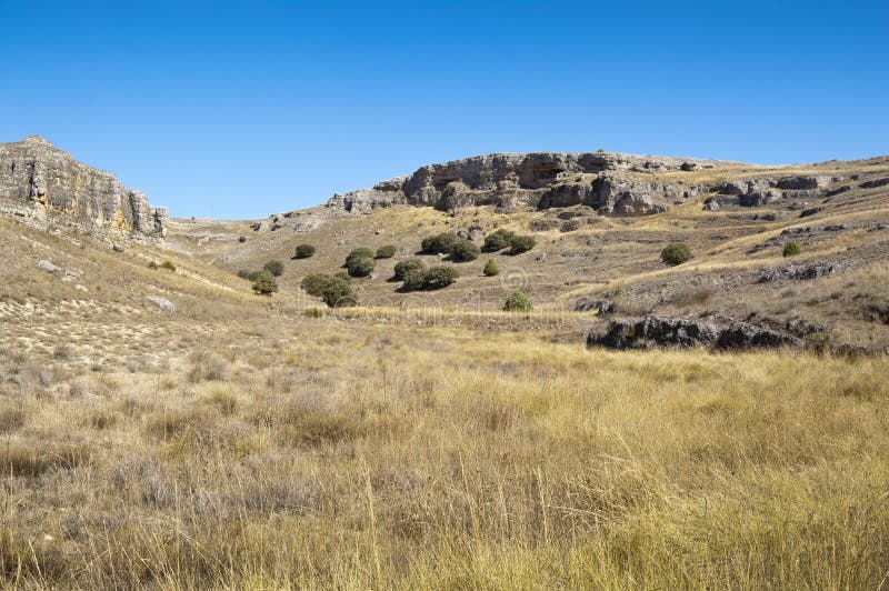 Steppe photo stock. Image du raboteux, flore, aride, froid - 23510110