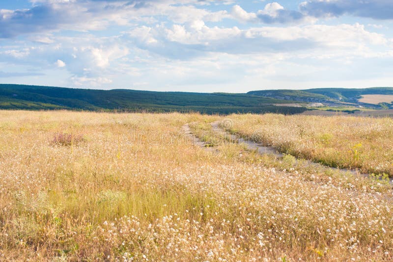 Steppe stockfoto. Bild von wiese, veld, szenisch, feld - 38230576