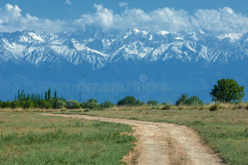 Steppe arkivfoto. Bild av tidigt, horisont, värme, öken - 44096372