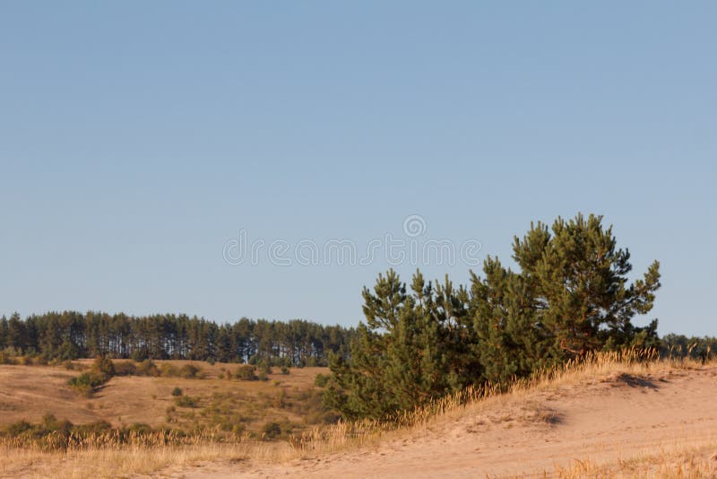 Steppe Autumn Landscape. a Small Hill, Trees, Sand. Stock Image - Image ...