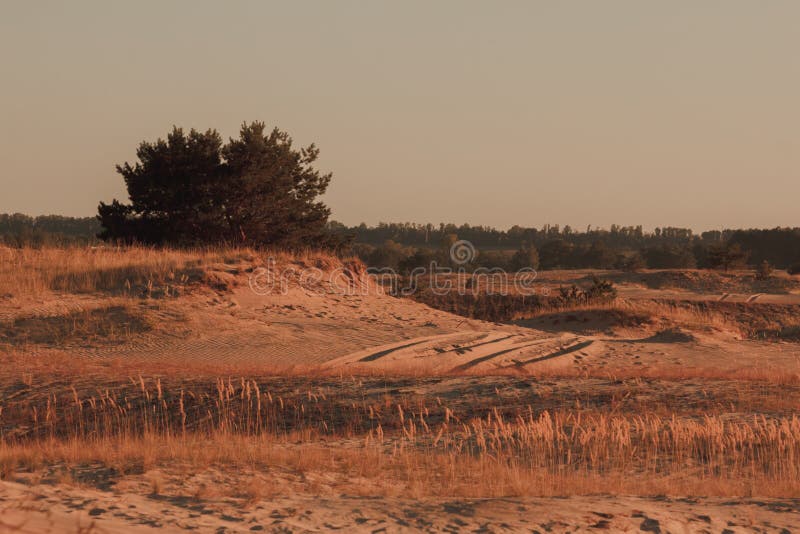 Steppe Autumn Landscape. a Small Hill, Trees, Sand Stock Image - Image ...